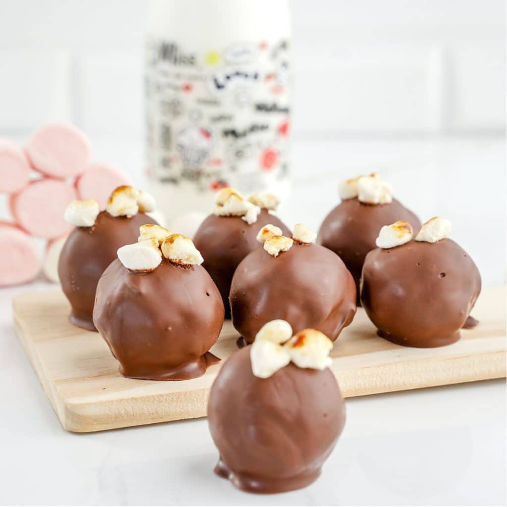 Easy No-Bake S'mores Truffles Recipe - Decadent and Fun No-Bake Dessert ...
