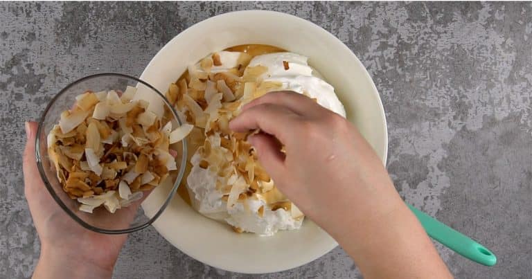 Samoa Cheesecake Dip – A Delicious Dessert Dip Inspired by the Samoa ...