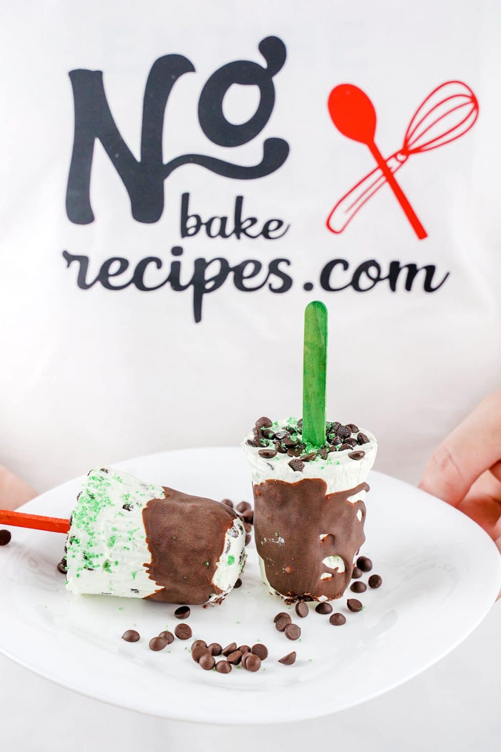 Mint Chocolate Chip Popsicles – The Perfect Summer Treat! - No-Bake ...
