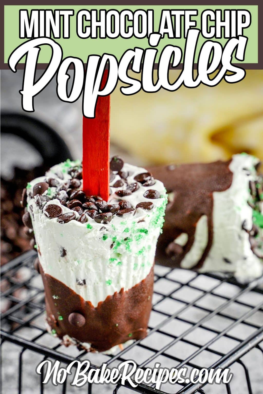 Mint Chocolate Chip Popsicles – The Perfect Summer Treat! - No-Bake ...