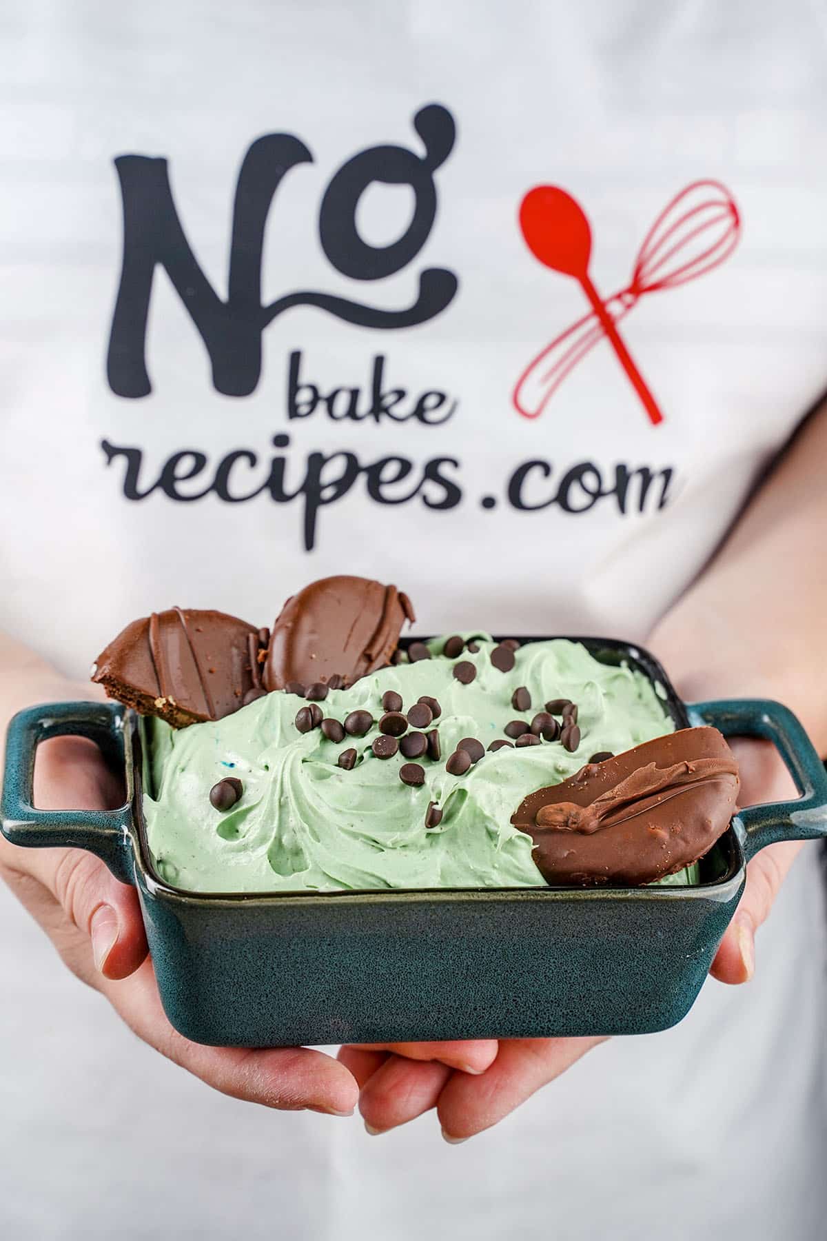 Easy and Fun Thin Mint Cheesecake Dip - No-Bake Dessert Dip - No-Bake ...
